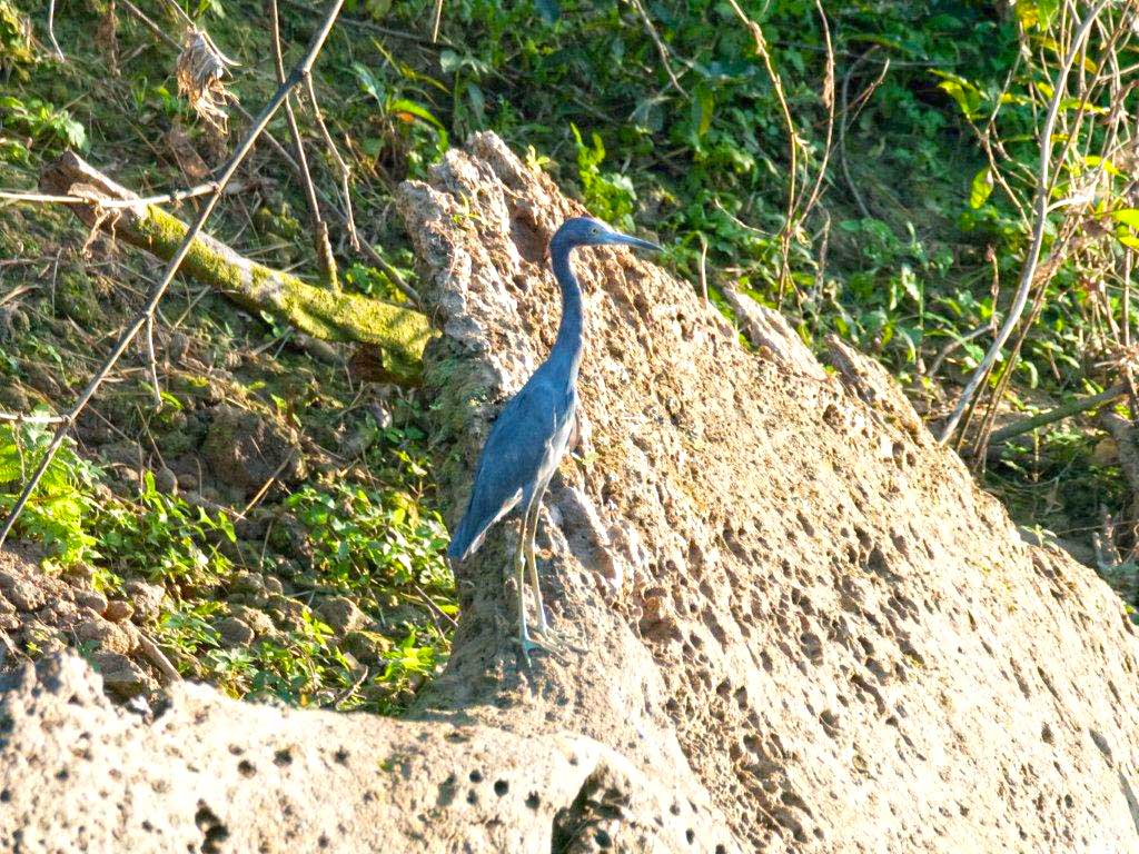 Belize Family Adventure – Macal River Canoeing | "An Adventure Is Forever"
